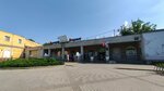 Киоск по продаже сувениров (Aleksandrovskiy Park, No:1Ж), hediyelik eşya mağazaları  Saint‑Petersburg'dan