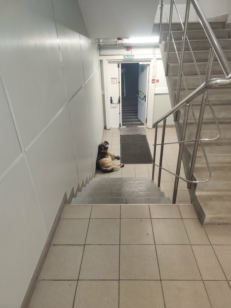 Depo hizmetleri Холмогоры, корпус 3, Moskova ve Moskovskaya oblastı, foto