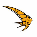 Anapa-Surfing (Krasnodar Territory, Anapa, Malaya bukhta), limanlar  Anapa'dan