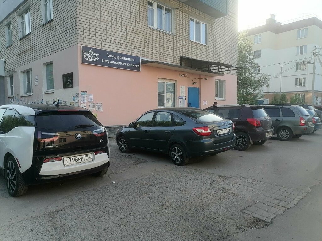 Veteriner klinikleri Gosudarstvennoye veterinarnoye upravleniye Kstovskogo okruga, Nijegorodskaya oblastı, foto