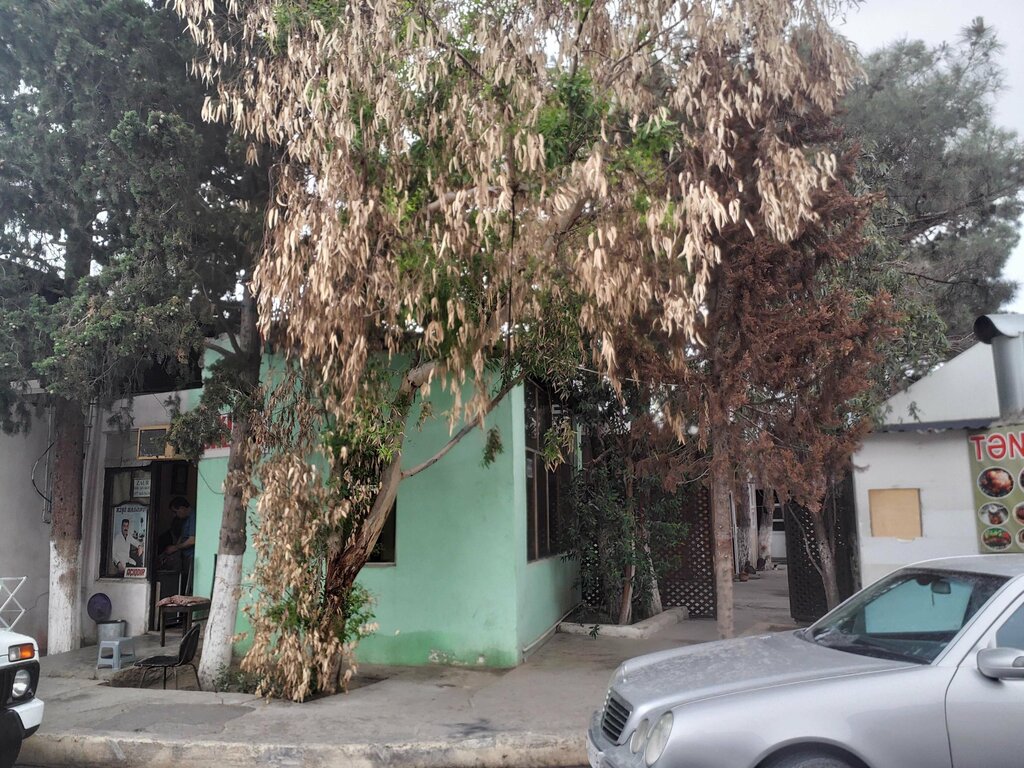 Güzellik salonu Kishi salonu, Bakü, foto