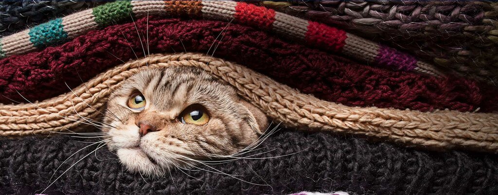 Çamaşırhaneler Lavaseco Universal - Sucursal Las Américas, Santa‑Krus, foto