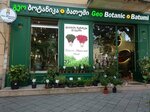 გეო ბოტანიკა (Konstantine Gamsakhurdia Street No:40), çiçekçiler  Batum'dan