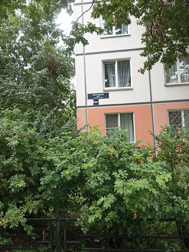 Kurs Startup Junior, Saint‑Petersburg, foto