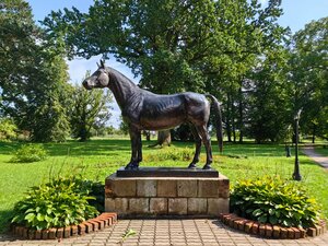Музей (Kaliningrad Region, Nesterovskiy munitsipalny okrug, posyolok Yasnaya Polyana), müzeler ve sanat galerileri  Kaliningradskaya oblastından