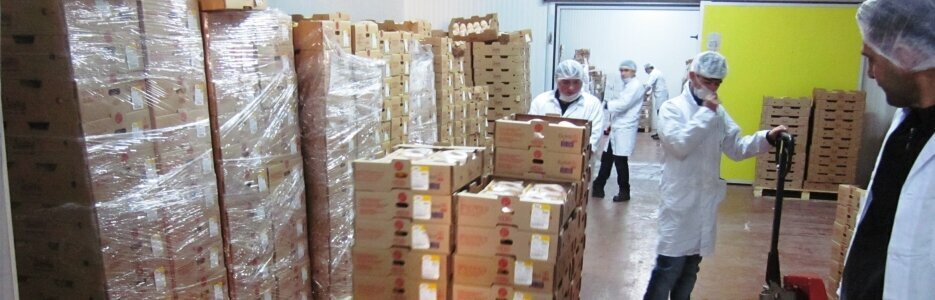 Kasap, şarküteri Gürbüz Tavukçuluk, İstanbul, foto