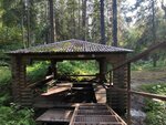 Родник Большой фонтан (Republic of Karelia, Pitkyaranta), pınar, çay  Pitkyaranta'dan