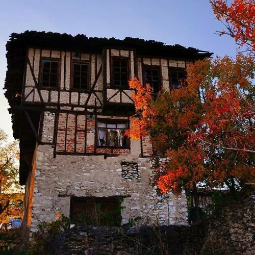 Tarım ilacı firmaları Safran, Antalya, foto