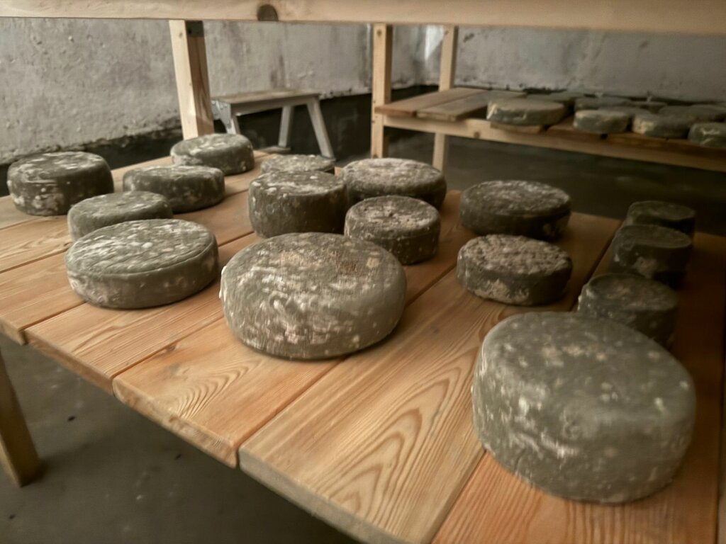 Mandıra Cheese factory Sevastyanovoj D., Perm, foto