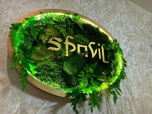 Spavil (Yubileynaya ulitsa No:26, Zheleznodorozhny Microdistrict), güzellik salonu  Balaşiha'dan