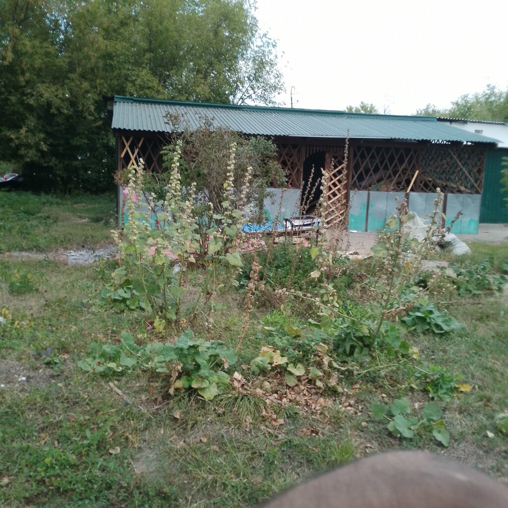 Bar Бар, Tulskaya oblastı, foto