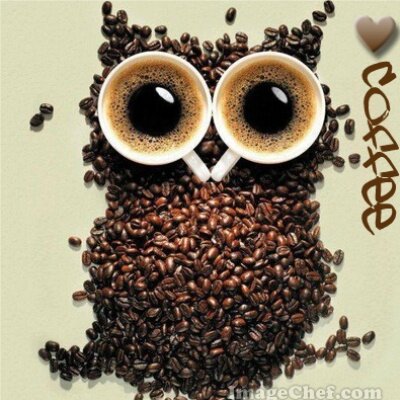 Kahve dükkanları Coffe friend’s, Moskova, foto