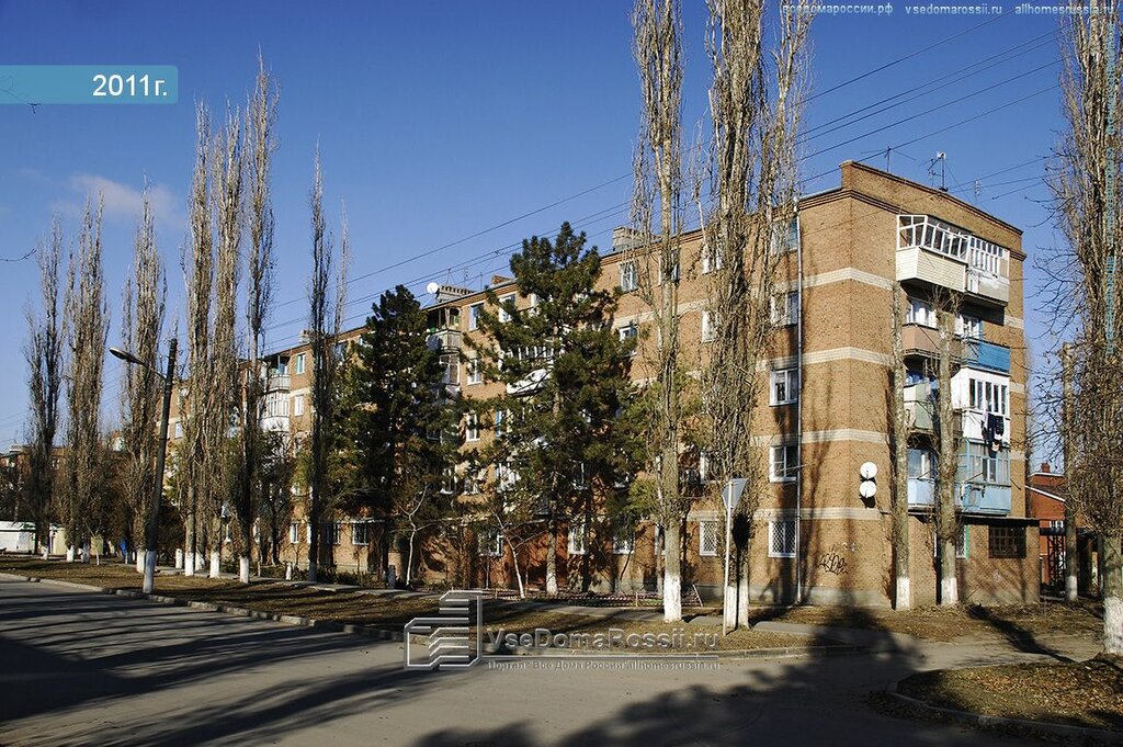 Çiçek teslimatı Immortelle - dostavka cvetov, Azov, foto