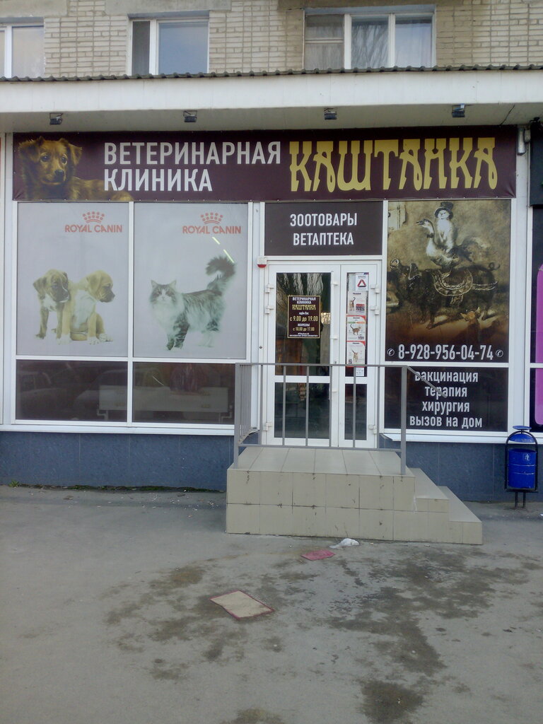 Veteriner klinikleri Veterinarnaya klinika Kashtanka, Taganrog, foto