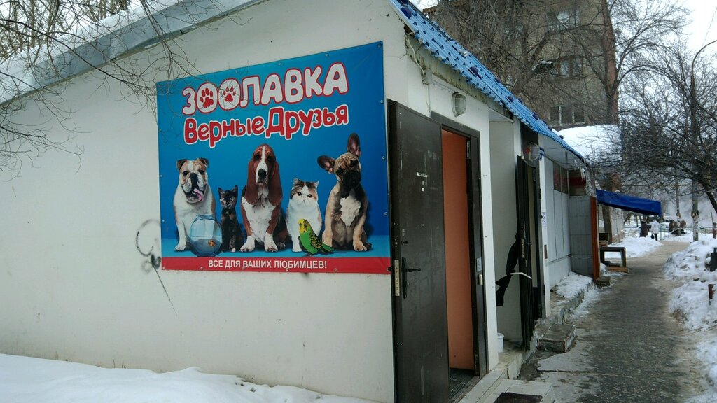 Kanatlı hayvan ürünleri ve yumurta Куриный дворик, Saratov, foto