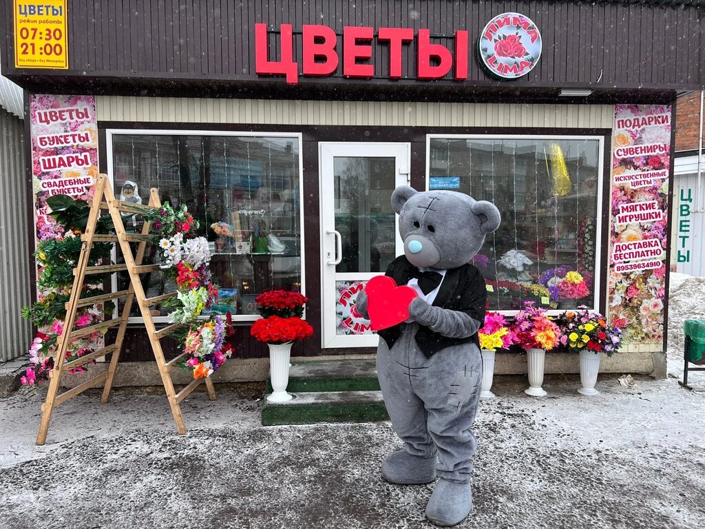 Çiçekçiler Lima, Kimovsk, foto