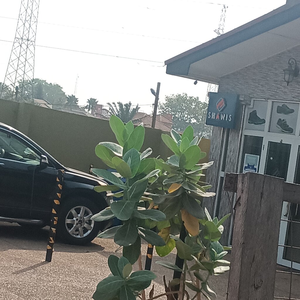 Üniforma üreticileri Shanis, Akra, foto