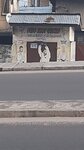 Budo Shop Congo (Brazzaville, Commune de Moungali, Rue Moundzombo), spor kulüpleri  Brazzaville'den