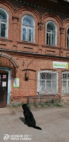 Market Moya Avoska, Vologodskaya oblastı, foto