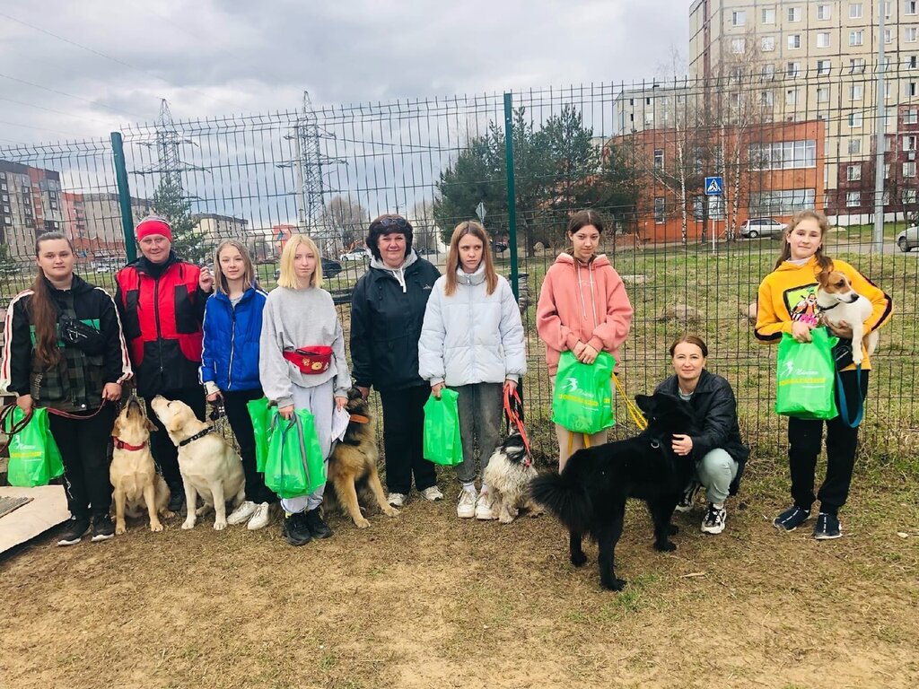 Köpek gezdirme alanları Учебно-дрессировочная площадка кинологический центр Цезарь, Tutayev, foto