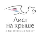 Aist na kryshe (Ryabovskoe Highway No:120Е), sivil toplum kuruluşları  Saint‑Petersburg'dan