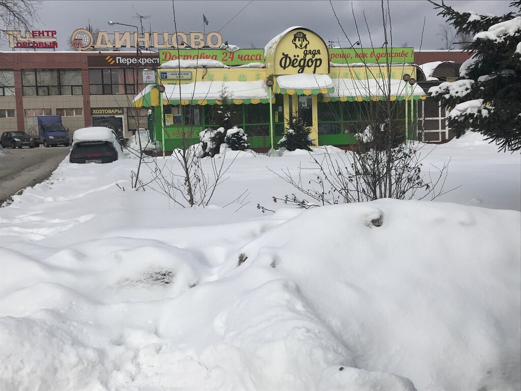 Kafe Кафе Дядя Федор, Odintsovo, foto