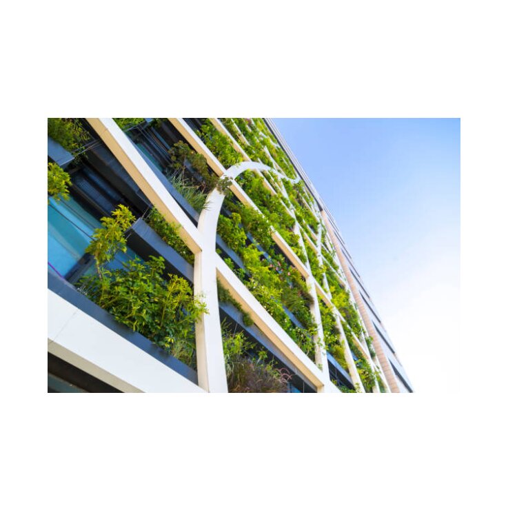 Çatı hizmetleri Acrilicos Arte A. G, Bogota, foto