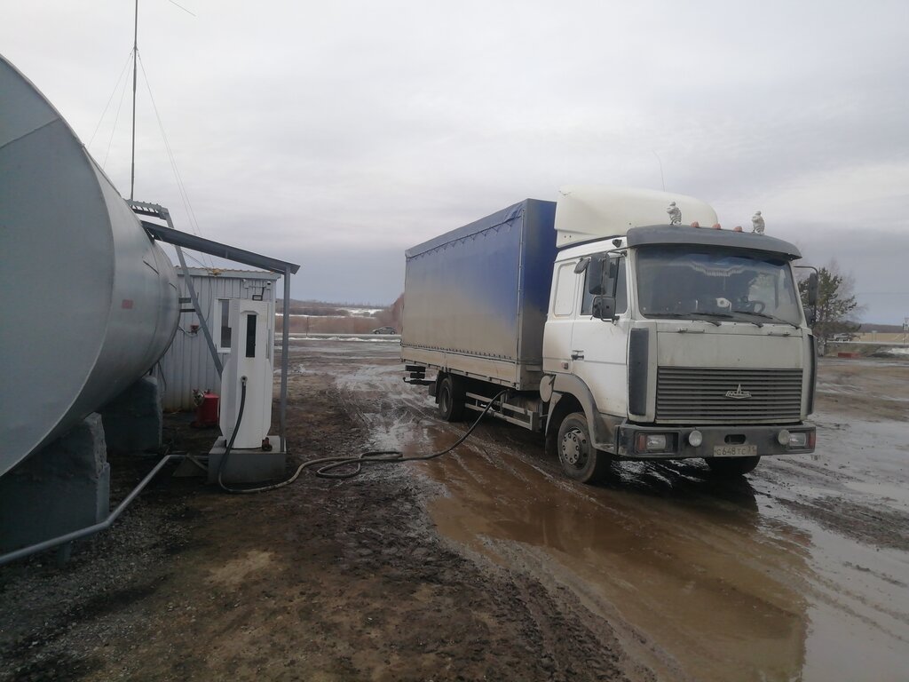 Benzin istasyonu Дизельное топливо, Penzenskaya oblastı, foto