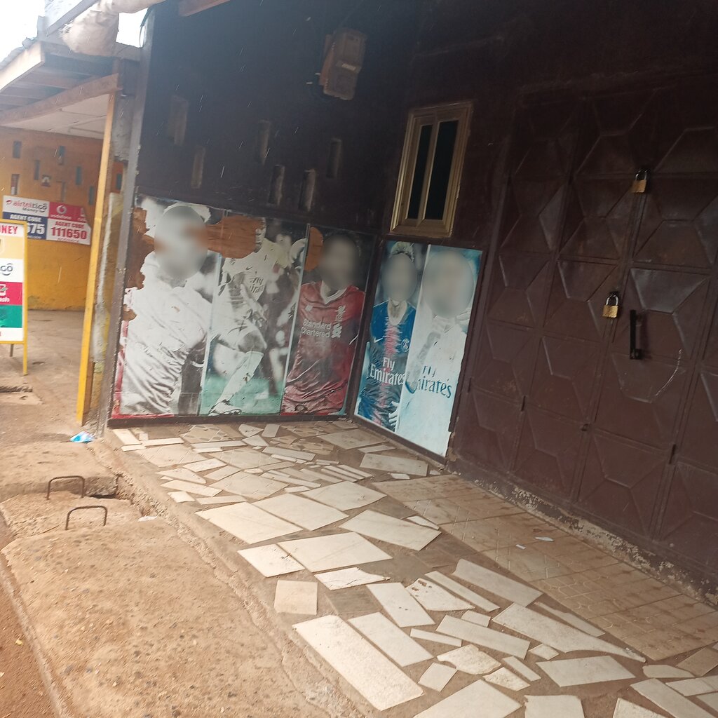 Bar Screen, Dünya, foto