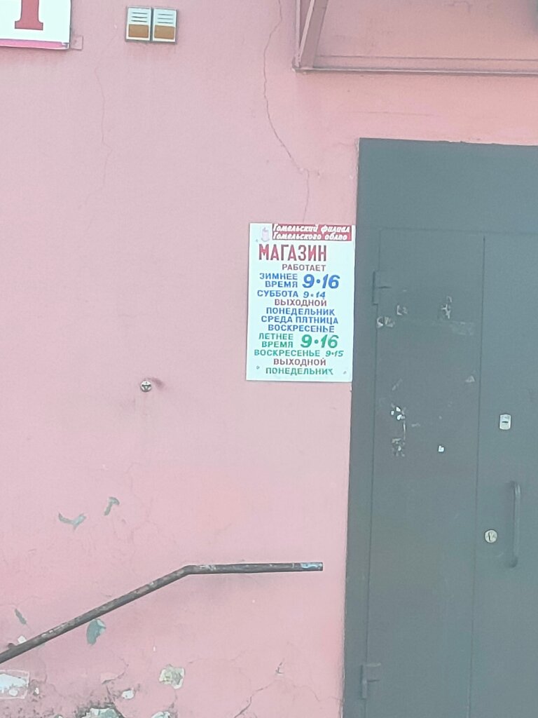Mini-market Магазин смешанных товаров, Gomelskaya oblastı, foto