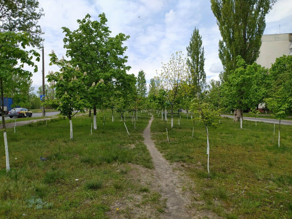 Meydan Kirmashawski skvier, Gomel, foto