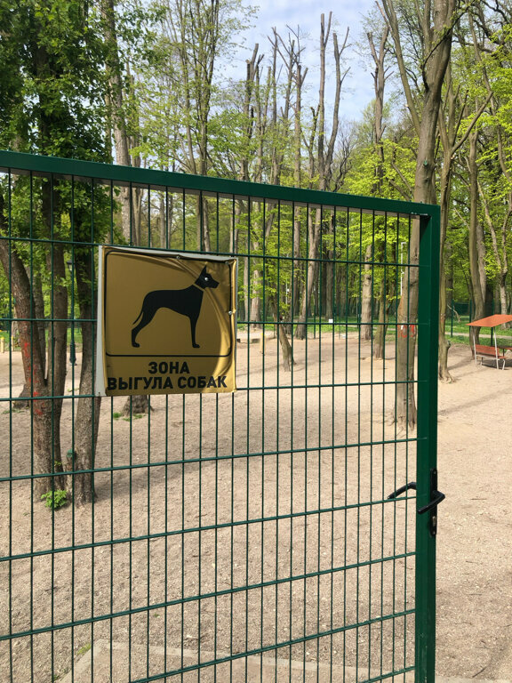 Köpek gezdirme alanları Dog park, Guryevsk, foto