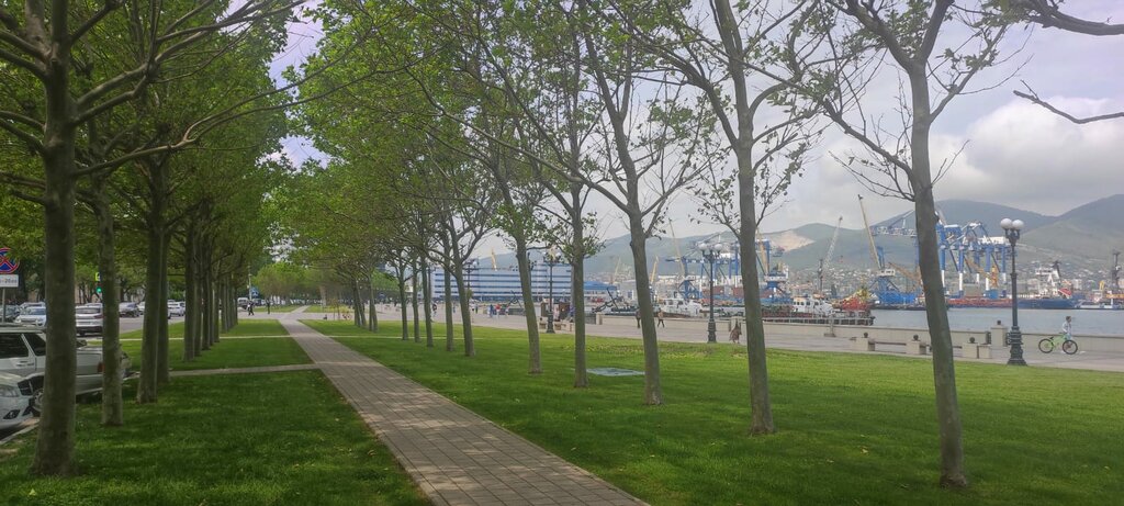 Emlak ofisi Admiral, Novorossiysk, foto