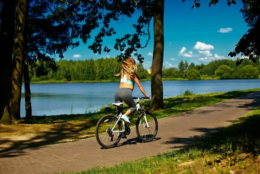 Bisiklet kiralama Прокатофф, Peterhof, foto