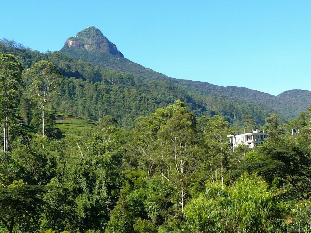 Otel White House Adam's Peak, , foto