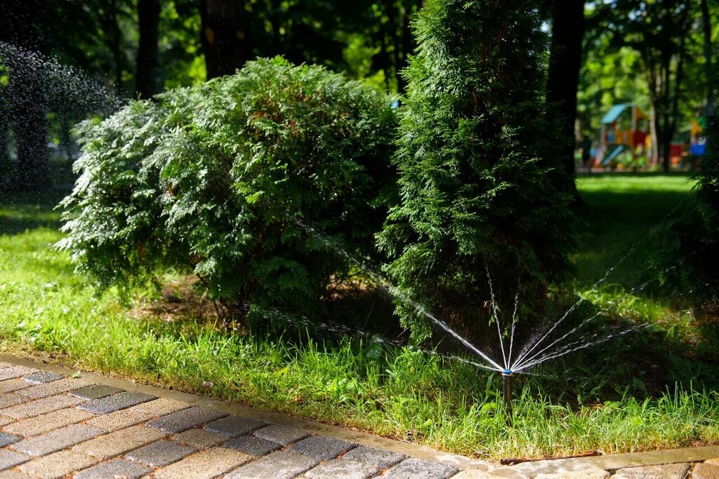 Peyzaj tasarımı 1 Studiya Poliva, Orenburg, foto