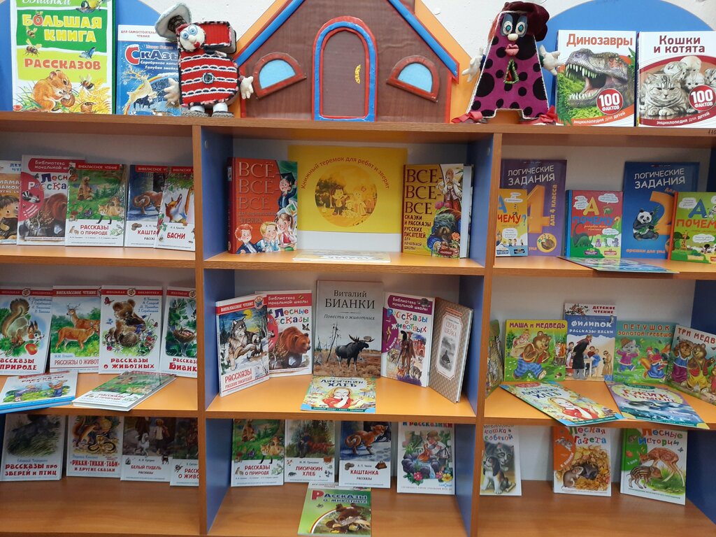 Kütüphaneler Biblioteka, Çeliabinskaya oblastı, foto