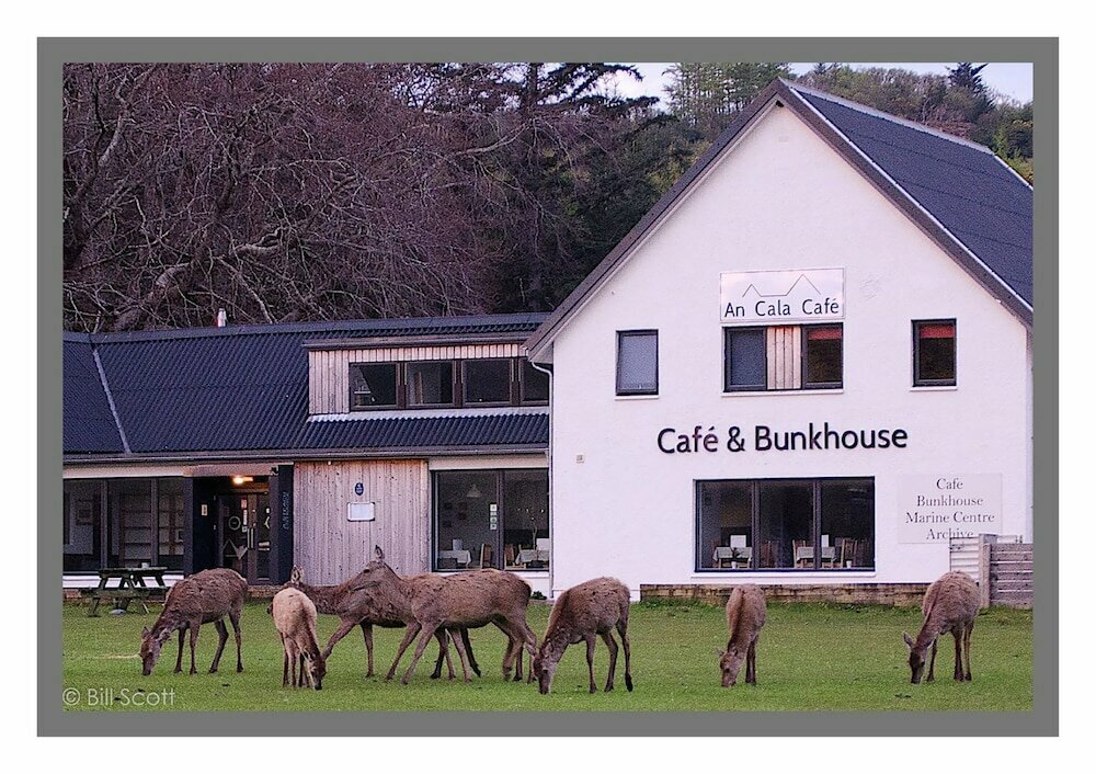 Otel An Cala Cafe and Bunkhouse - Hostel, Highland Konsey Bölgesi, foto
