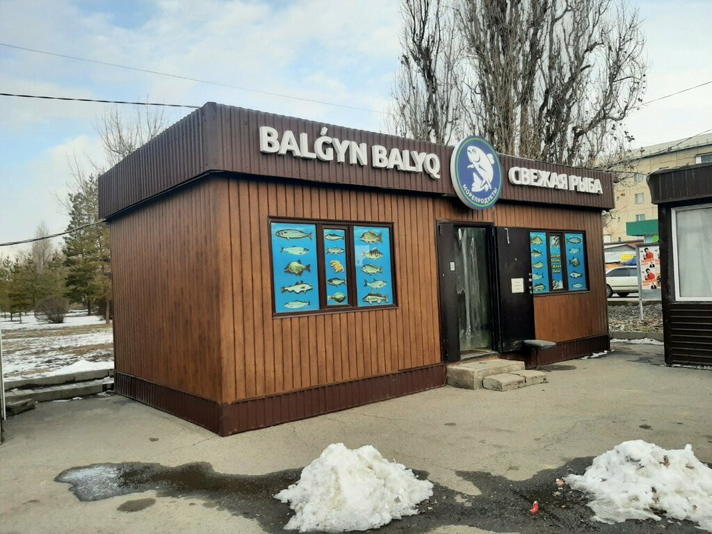 Balık ve deniz ürünleri Fresh Fish, Taldıkorgan, foto
