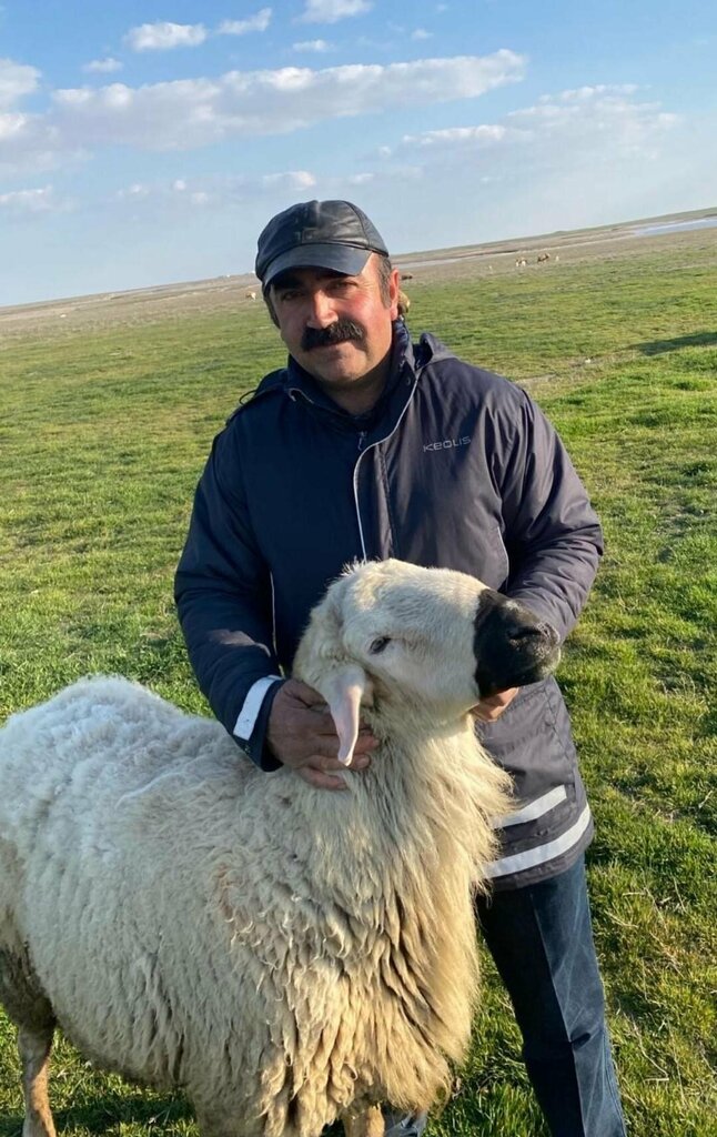 Hayvancılık Levent Ergül Besihanesi, Kulu, foto