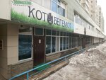 Behemoth Cat (Saryarqa dańǵyly No:41), pet otel  Astana'dan
