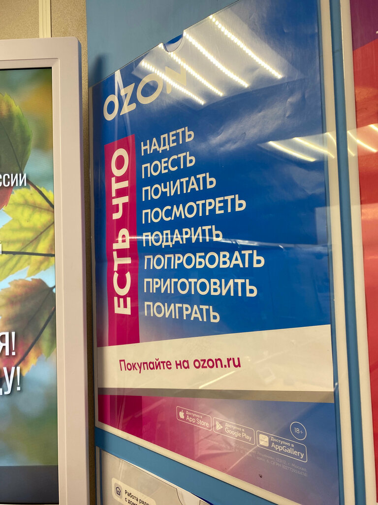 Teslimat noktası Ozon, Saint‑Petersburg, foto