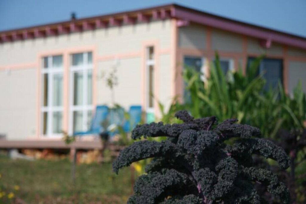 Hamamlar Kale, Tulskaya oblastı, foto