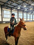 Конно-спортивный комплекс Grand Stable (Leningrad Region, Lomonosovskiy District, Villozskoye gorodskoye poseleniye), at ve binicilik kulüpleri  Saint‑Petersburg ve Leningradskaya oblastından