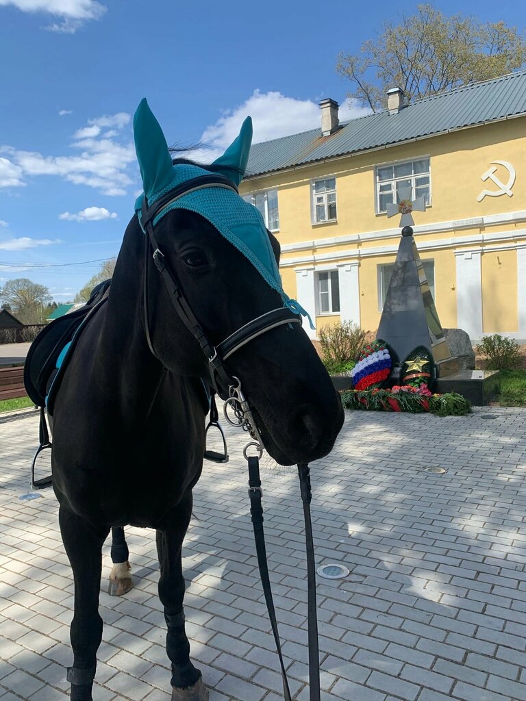 At ve binicilik kulüpleri Ипподром, Saint‑Petersburg ve Leningradskaya oblastı, foto