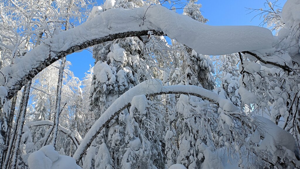 Dağ zirvesi Скала Арка, Sverdlovskaya oblastı, foto