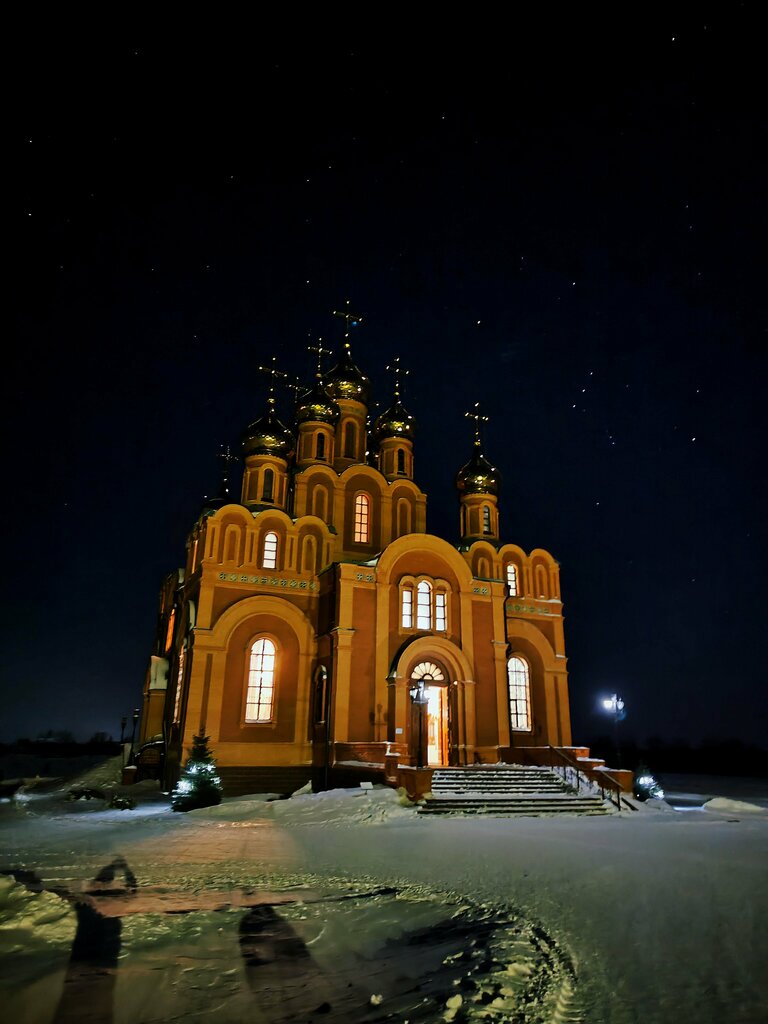 Ortodoks kiliseleri Надвратная церковь Анастасии Узорешительницы, Omskaya oblastı, foto