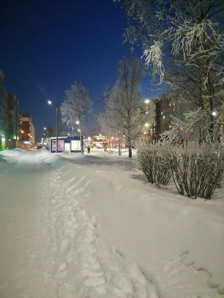 Teslimat noktası Wildberries, Severodvinsk, foto