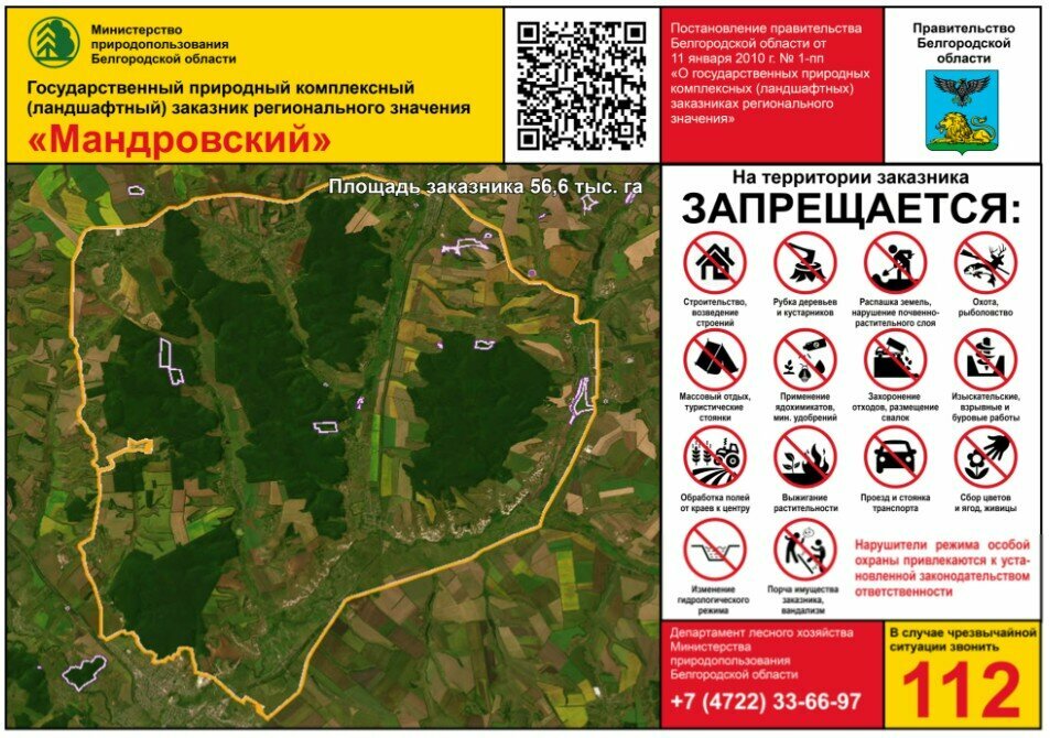 Orman Поляков лес, Belgorodskaya oblastı, foto