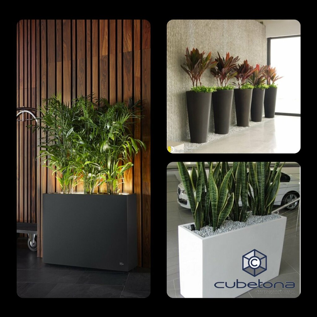 Banyo ve klozet mağazaları Cubetona, Belgorod, foto